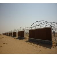 China PE Cooling System Agricultural Greenhouse Flower Growing Galvanized Steel Greenhouse for sale