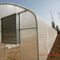 China 5m Roof Height Single Span Greenhouse Smart Chinese Style Greenhouse for sale