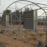 China 10m Width Tunnel Light Deprivation Greenhouse Single Layer With Galvanized Steel Pipe for sale