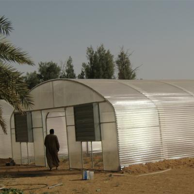 China 5m Roof Height Single Span Greenhouse Smart Chinese Style Greenhouse for sale