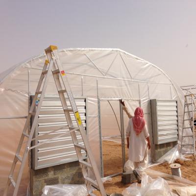 China Hot Climate Tomato Plant Greenhouse 150 Micron Plastic Film Cover for sale