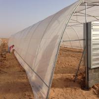 China Hot Climate Tomato Plant Greenhouse 150 Micron Plastic Film Cover for sale