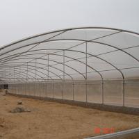 China 5m Roof Height Single Span Greenhouse Smart Chinese Style Greenhouse for sale