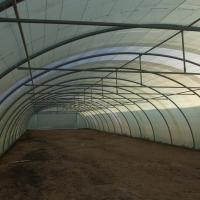China Agricultural Single Span Greenhouse Flowers And Vegetables Poly Film Greenhouse for sale