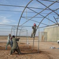China 48mm/58mm Pipe Diameter Metal Frame Greenhouse for Vegetable at a Budget-Friendly for sale