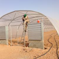 China 48mm/58mm Pipe Diameter Metal Frame Greenhouse for Vegetable at a Budget-Friendly for sale