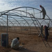 China 10m Width Tunnel Light Deprivation Greenhouse Single Layer With Galvanized Steel Pipe for sale