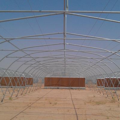 China 10m Width Tunnel Light Deprivation Greenhouse Single Layer With Galvanized Steel Pipe for sale