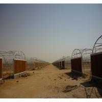 China 150micron Metal Frame Greenhouse Plastic Film Covering For Desert Rose for sale