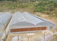 China S Hot Dipped Galvanized Steel Structure Greenhouse for Agricultural Vegetable for sale