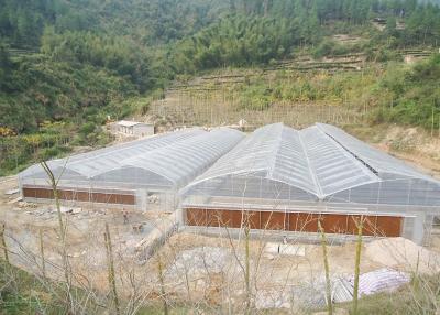 China Commercial Vegetable Greenhouse Kits With Rain Gutter And Large Zinc Coating 275gsm for sale