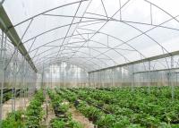 China Multi-Span Agricultural Greenhouse for Hydroponic Tomato and Optimal Irrigation System for sale