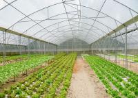 China Multi-Span Agricultural Greenhouse for Hydroponic Tomato and Optimal Irrigation System for sale