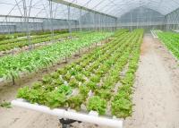 China Multi-Span Agricultural Greenhouse for Hydroponic Tomato and Optimal Irrigation System for sale