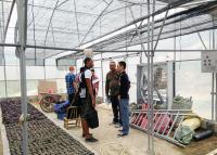 China S Hot Dipped Galvanized Steel Structure Greenhouse for Agricultural Vegetable for sale
