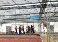 China S Hot Dipped Galvanized Steel Structure Greenhouse for Agricultural Vegetable for sale