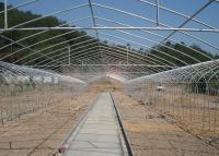 China Film Surface Material Multi-Span Agricultural Greenhouses IGreen Greenhouse for sale