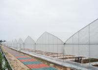 China Film Surface Material Multi-Span Agricultural Greenhouses IGreen Greenhouse for sale