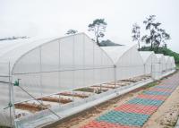 China Film Surface Material Multi-Span Agricultural Greenhouses IGreen Greenhouse for sale