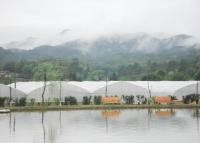 China Film Surface Material Multi-Span Agricultural Greenhouses IGreen Greenhouse for sale