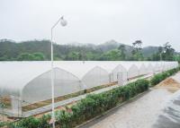 China Film Surface Material Multi-Span Agricultural Greenhouses IGreen Greenhouse for sale