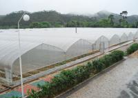 China WL8132X Single Greenhouses Agricultural Plastic Film Panels 7-10m for sale