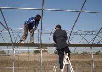 China WL8132X Single Greenhouses Agricultural Plastic Film Panels 7-10m for sale
