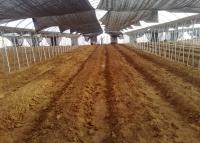 China WL8132X Single Greenhouses Agricultural Plastic Film Panels 7-10m for sale