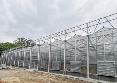China IGreen Polycarbonate Greenhouse Panels for Flowers and Vegetables Customized Length for sale