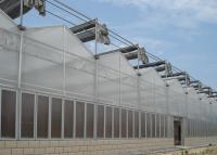China Customized Poly Tunnel Greenhouse Multi Span Agricultural polycarbonate tunnel greenhouse for sale