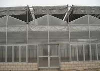 China Customized Poly Tunnel Greenhouse Multi Span Agricultural polycarbonate tunnel greenhouse for sale
