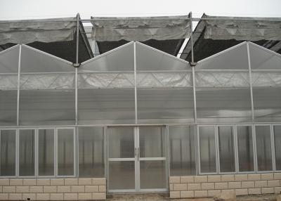 China Customized Poly Tunnel Greenhouse Multi Span Agricultural polycarbonate tunnel greenhouse for sale