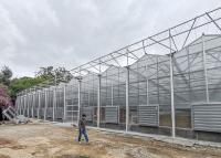 China IGreen PC Board Greenhouse Multi-Span Agricultural Greenhouses with PC Sunshine Board Panels for sale