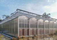 China Commercial Polycarbonate Greenhouse with 3--7 Meter Roof Height and Customized PC Sheet for sale