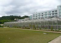 China 9.6m Tunnel Width Polycarbonate Greenhouse for Sustainable Agricultural Practices for sale