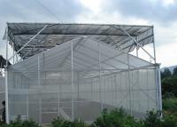 China Customizable Commercial Polycarbonate Greenhouse High Shoulder For Agriculture for sale