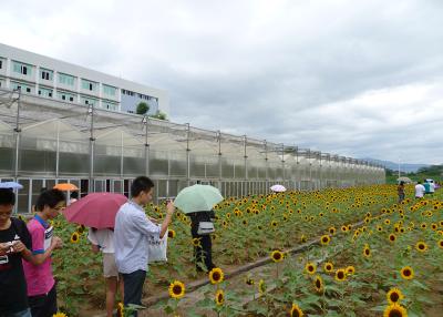 China Customizable Commercial Polycarbonate Greenhouse High Shoulder For Agriculture for sale