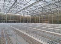 China WL108Y Large IGreen Polycarbonate Panels Customized Length for Greenhouse for sale
