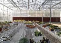 China WL108Y Large IGreen Polycarbonate Panels Customized Length for Greenhouse for sale