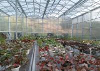 China Polycarbonate Greenhouse Sheet with Customized Length and 9.6 Meter Tunnel Width for sale