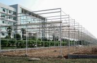 China Customizable Commercial Polycarbonate Greenhouse High Shoulder For Agriculture for sale