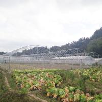 China Film Cover Fiber Glass Greenhouse 8m Tunnel Width With Cooling Pad for sale