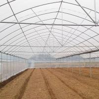 China Film Cover Fiber Glass Greenhouse 8m Tunnel Width With Cooling Pad for sale