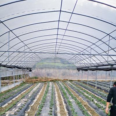 China Film Cover Fiber Glass Greenhouse 8m Tunnel Width With Cooling Pad for sale