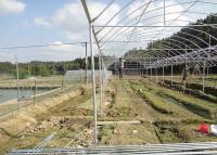 China Single Layer IGreen Multispan Plastic Film Greenhouse for Shoulder Height 1.8-2.5m for sale