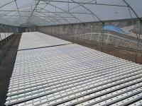 China Climate Controlled Agricultural Greenhouse Hot Dipped Galvanized Steel Greenhouse for sale
