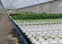 China Climate Controlled Agricultural Greenhouse Hot Dipped Galvanized Steel Greenhouse for sale