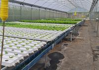 China Climate Controlled Agricultural Greenhouse Hot Dipped Galvanized Steel Greenhouse for sale