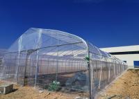 China Tunnel Greenhouse with Hot Dipped Galvanized Steel Structure and 275gsm Zinc Coating for sale