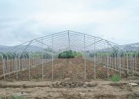 China 150Micron Single Span Greenhouse Customizable Plastic Film Greenhouse for sale